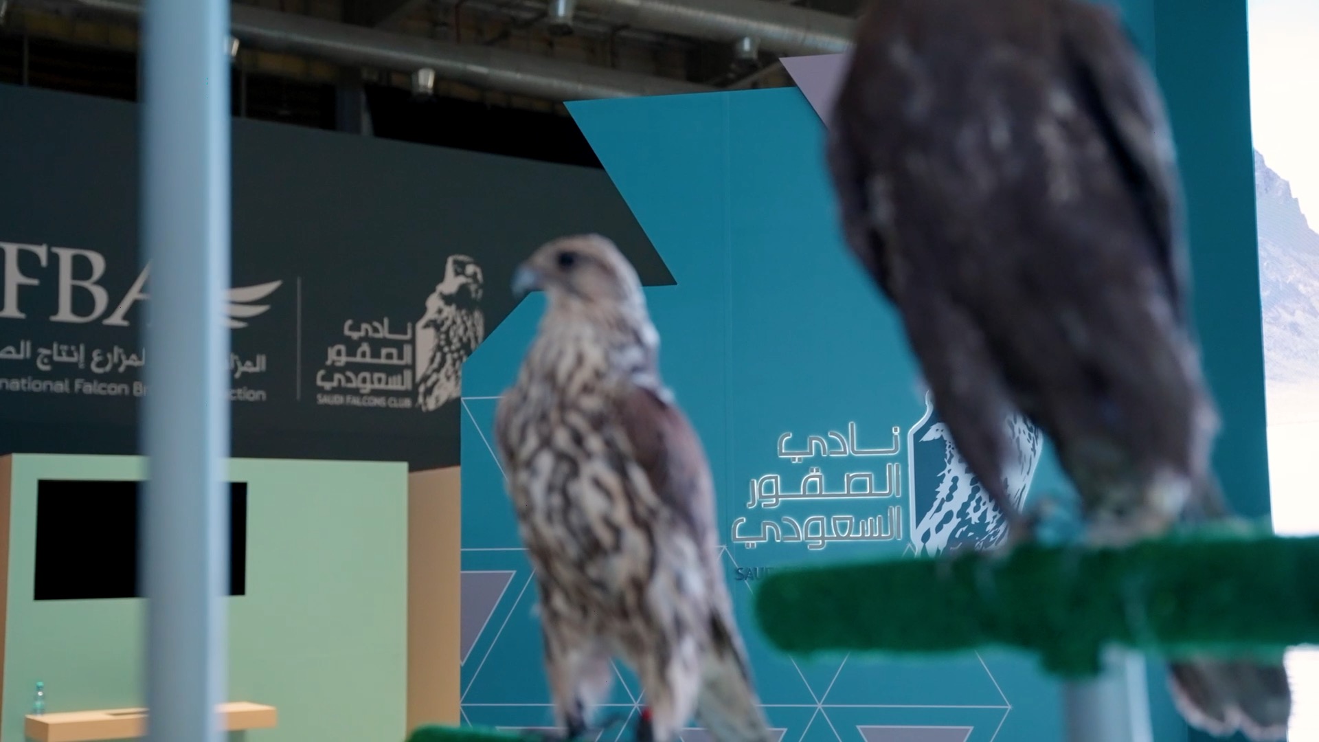International Falcon Breeders Auction – FreeIcons